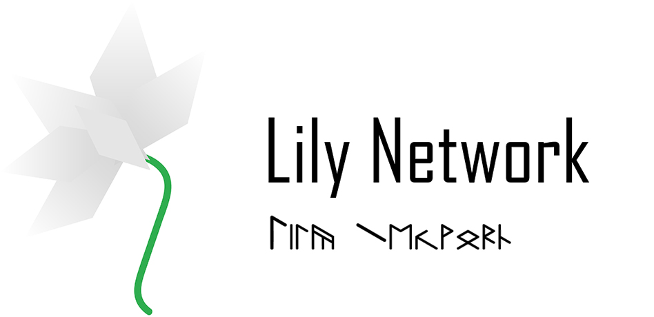 AS203236 - Lily Network - PeeringDB